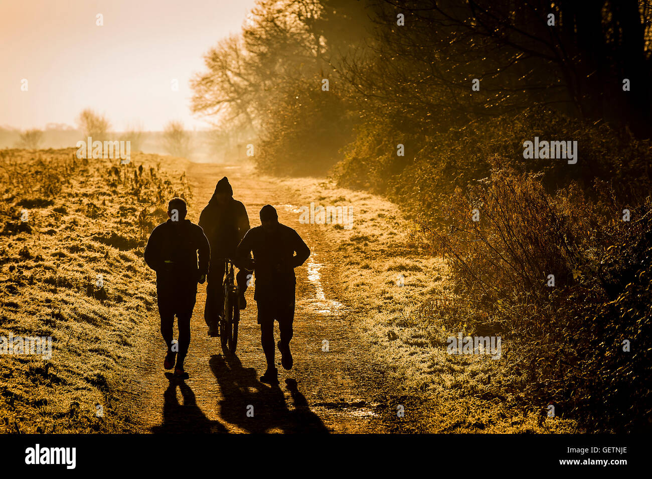 People jogging in the intense sunlight of an early morning autumnal ...