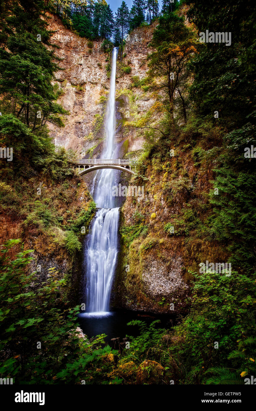 Multnomah Falls in the Columbia river gorge Stock Photo - Alamy
