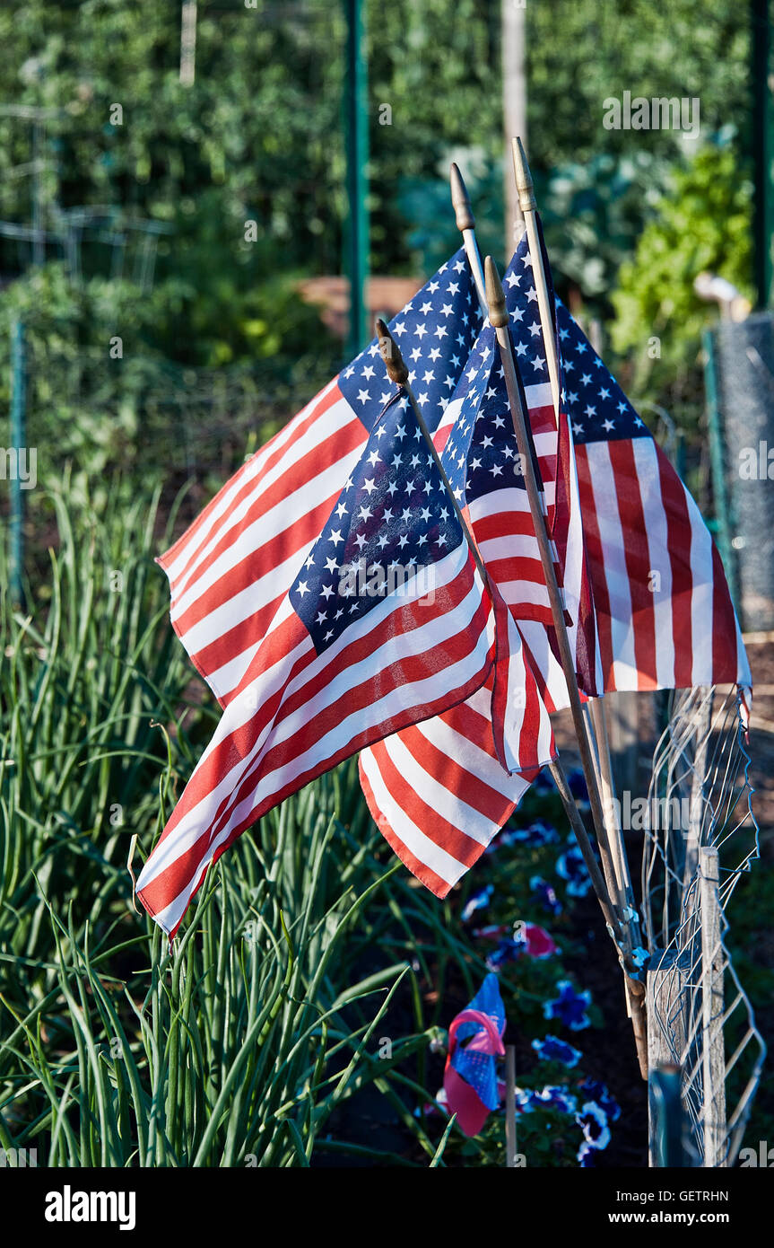 American vegetable gardens hi-res stock photography and images - Alamy
