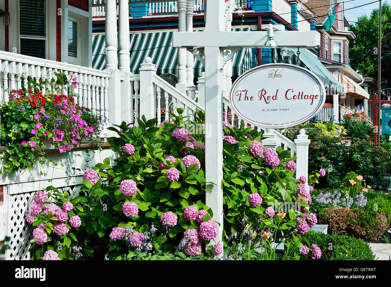 Red cape flower hi-res stock photography and images - Alamy