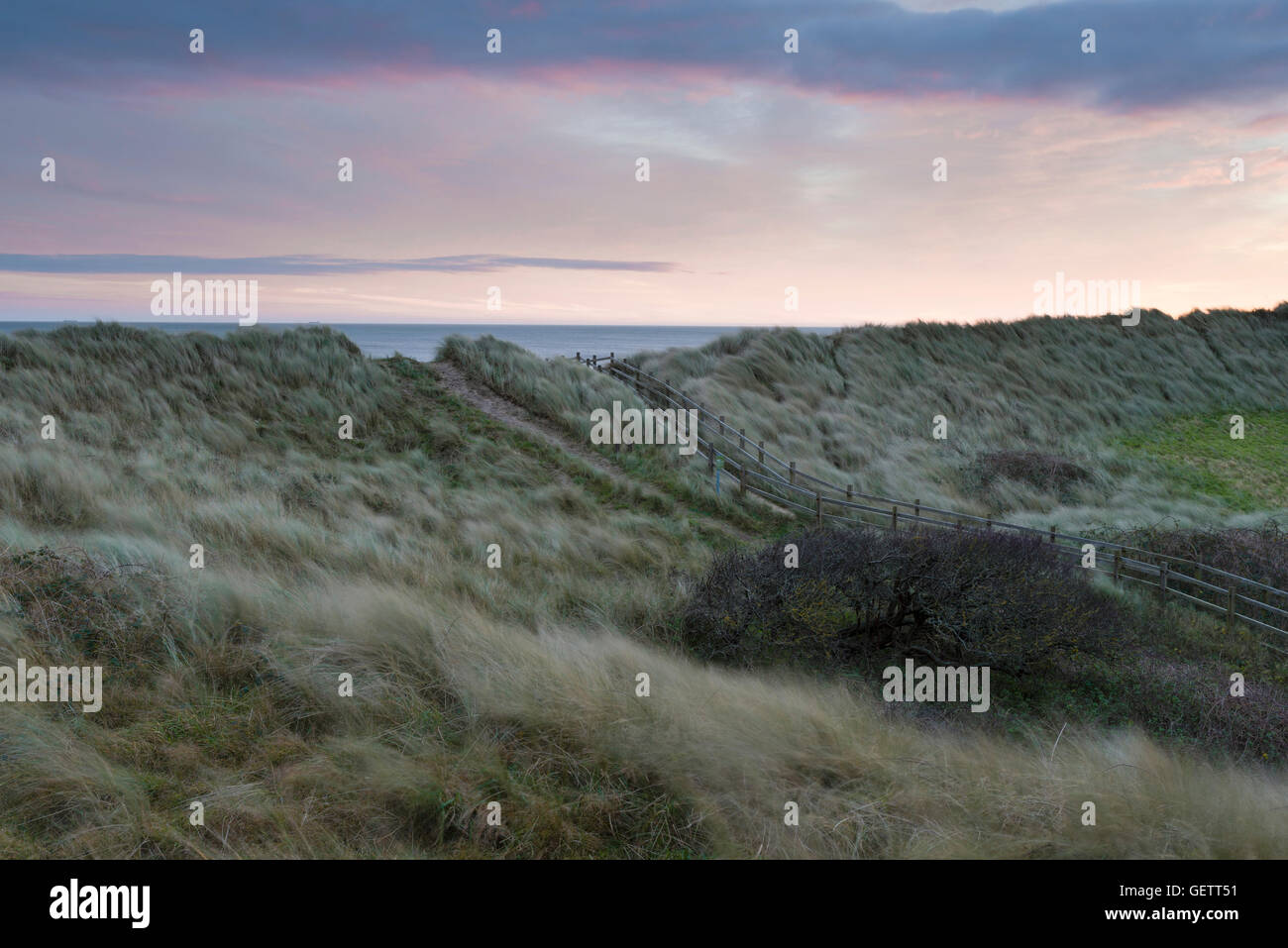The dunes at Waxham in Norfolk Stock Photo - Alamy