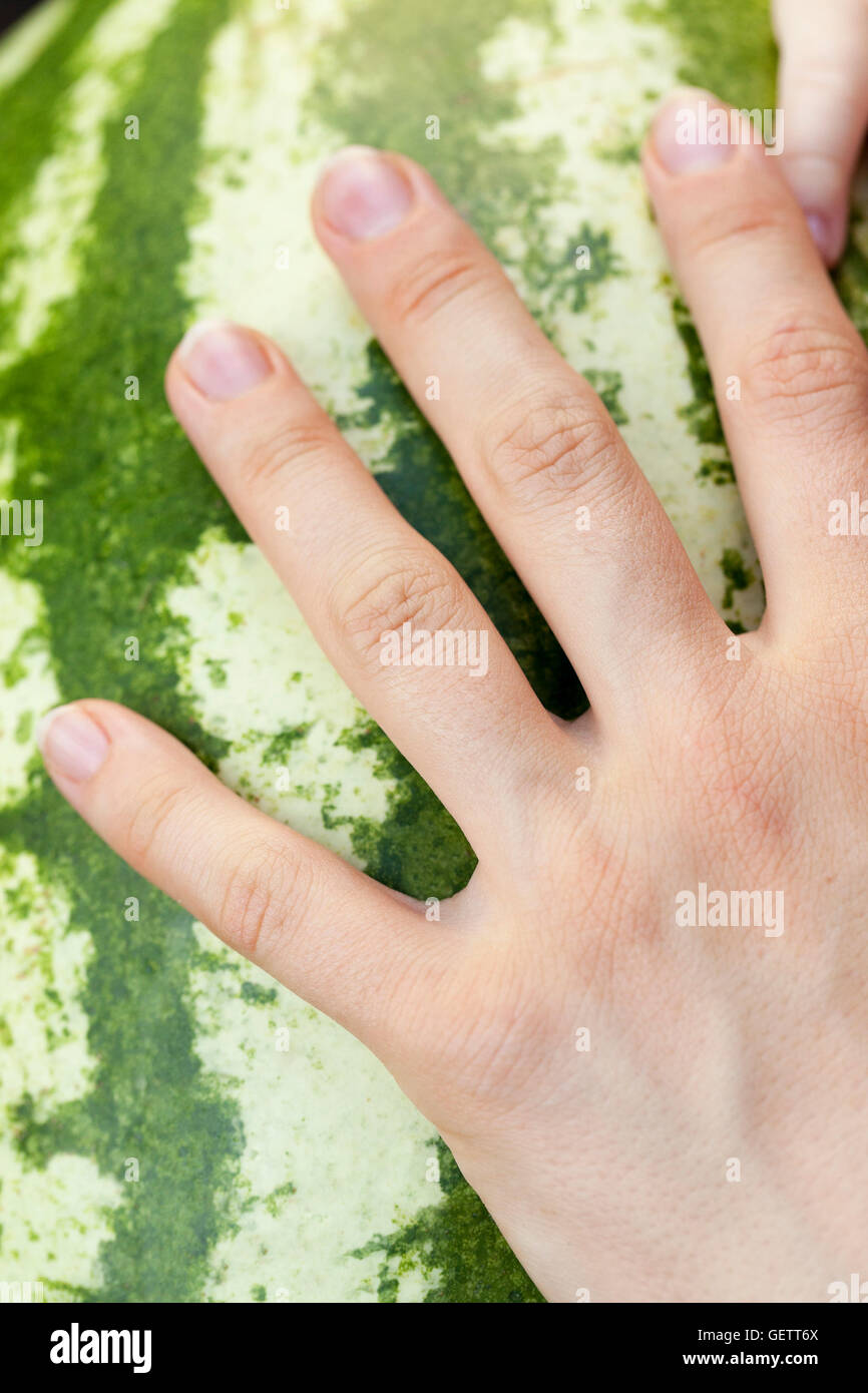 hand on watermelon Stock Photo - Alamy