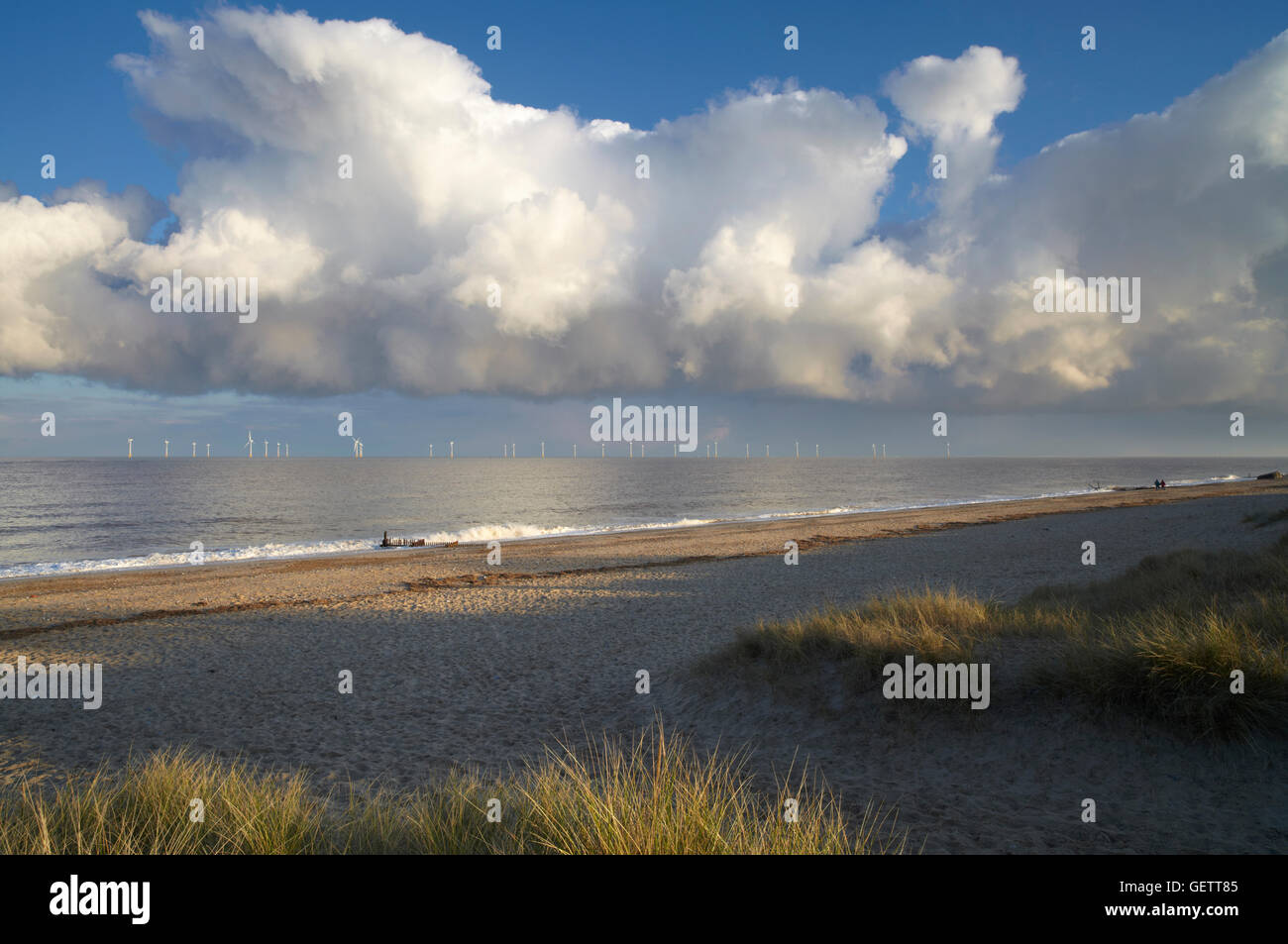 Caister Stock Photos & Caister Stock Images - Alamy