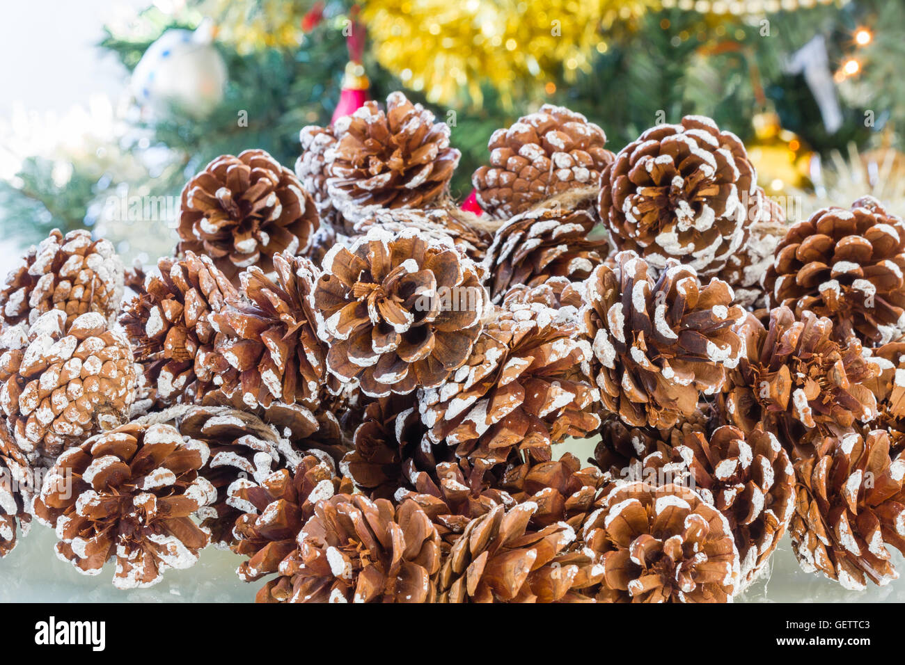 Pinecone cluster hi-res stock photography and images - Alamy