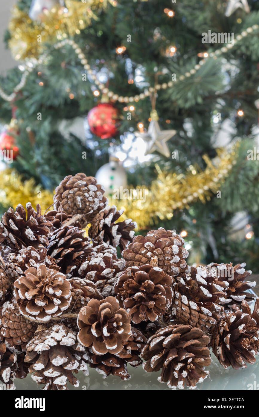 Vertical close-up of pine cones flecked with snow and an out-of-focus ...