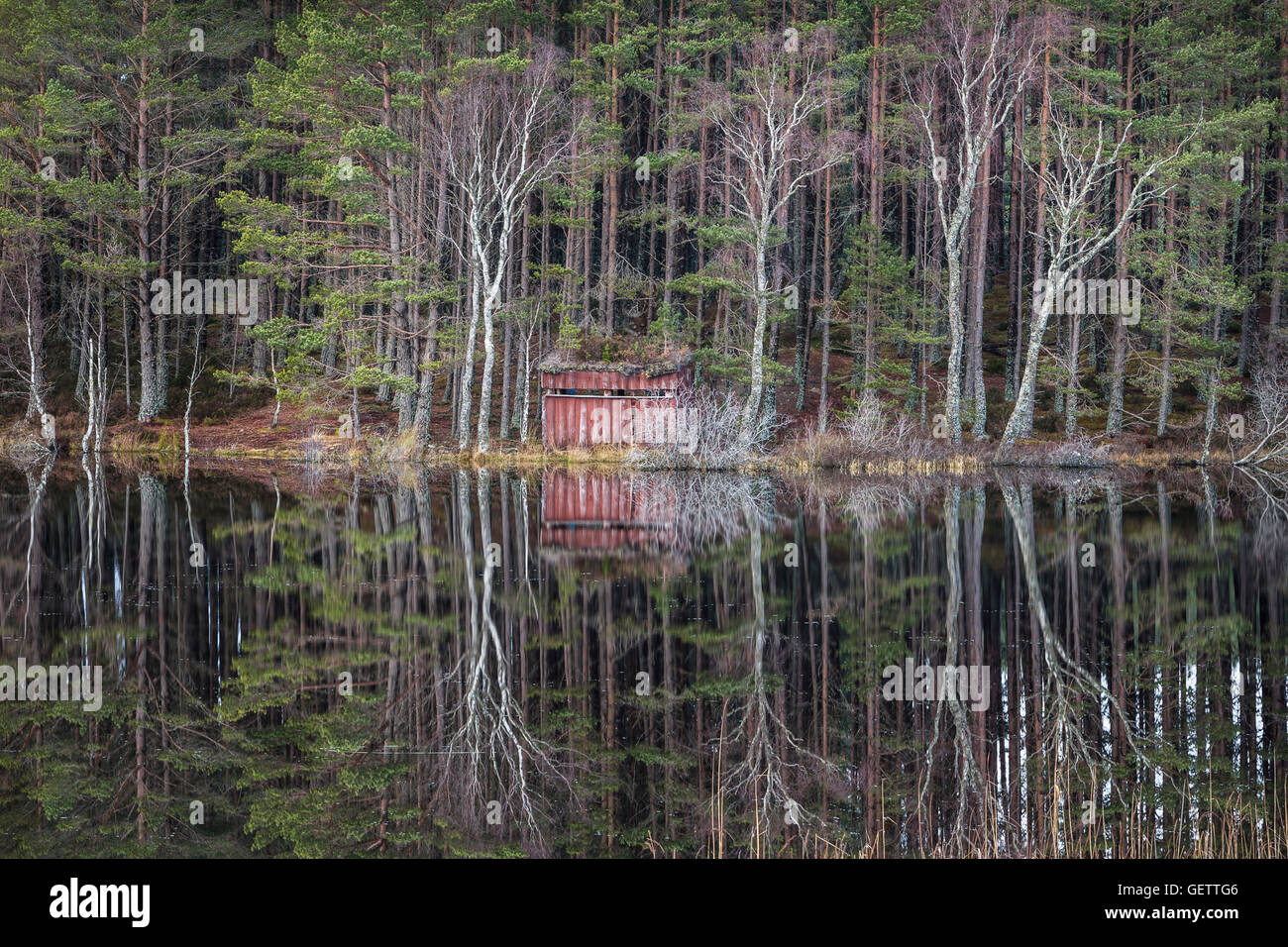 Nature hide on Uath Lochan in Glen Feshie Stock Photo - Alamy