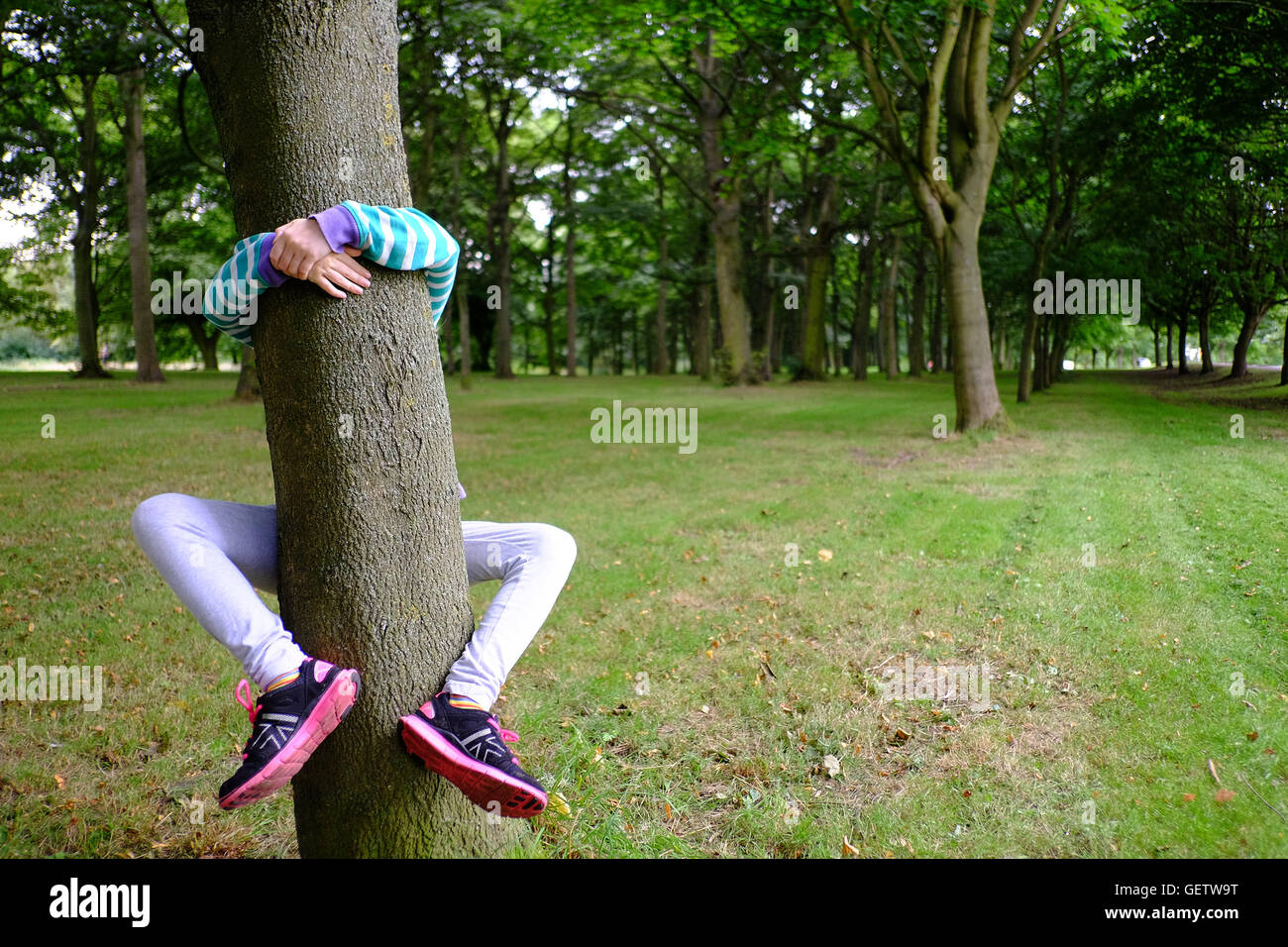 A young girl hangs on to a tree with arms and legs wrapped around the ...