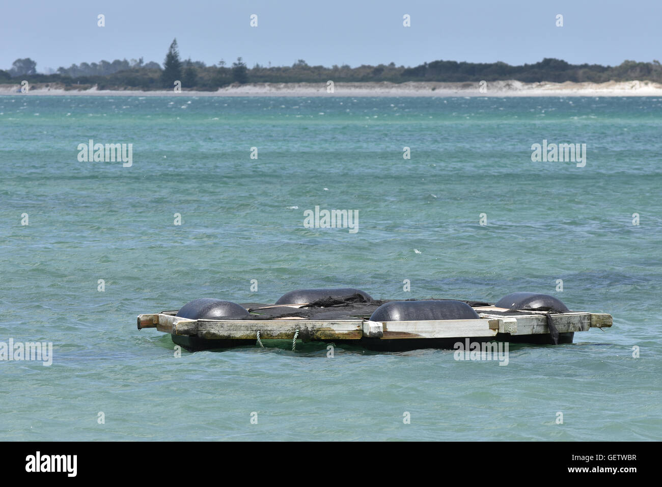Timber float hi-res stock photography and images - Alamy