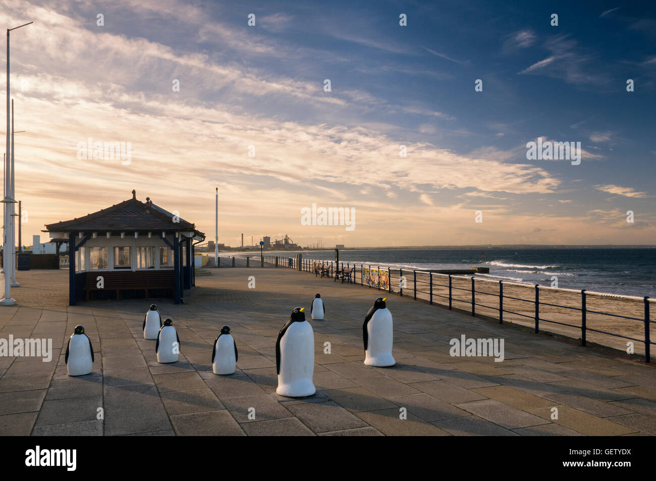 Decorative penguin figures on the promenade at Redcar Stock Photo - Alamy