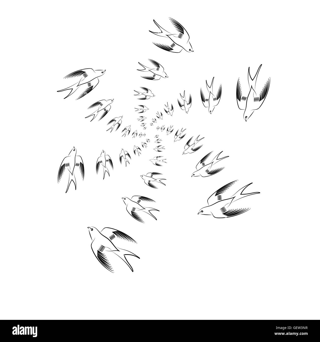 Barn swallow flight Stock Vector Images - Alamy