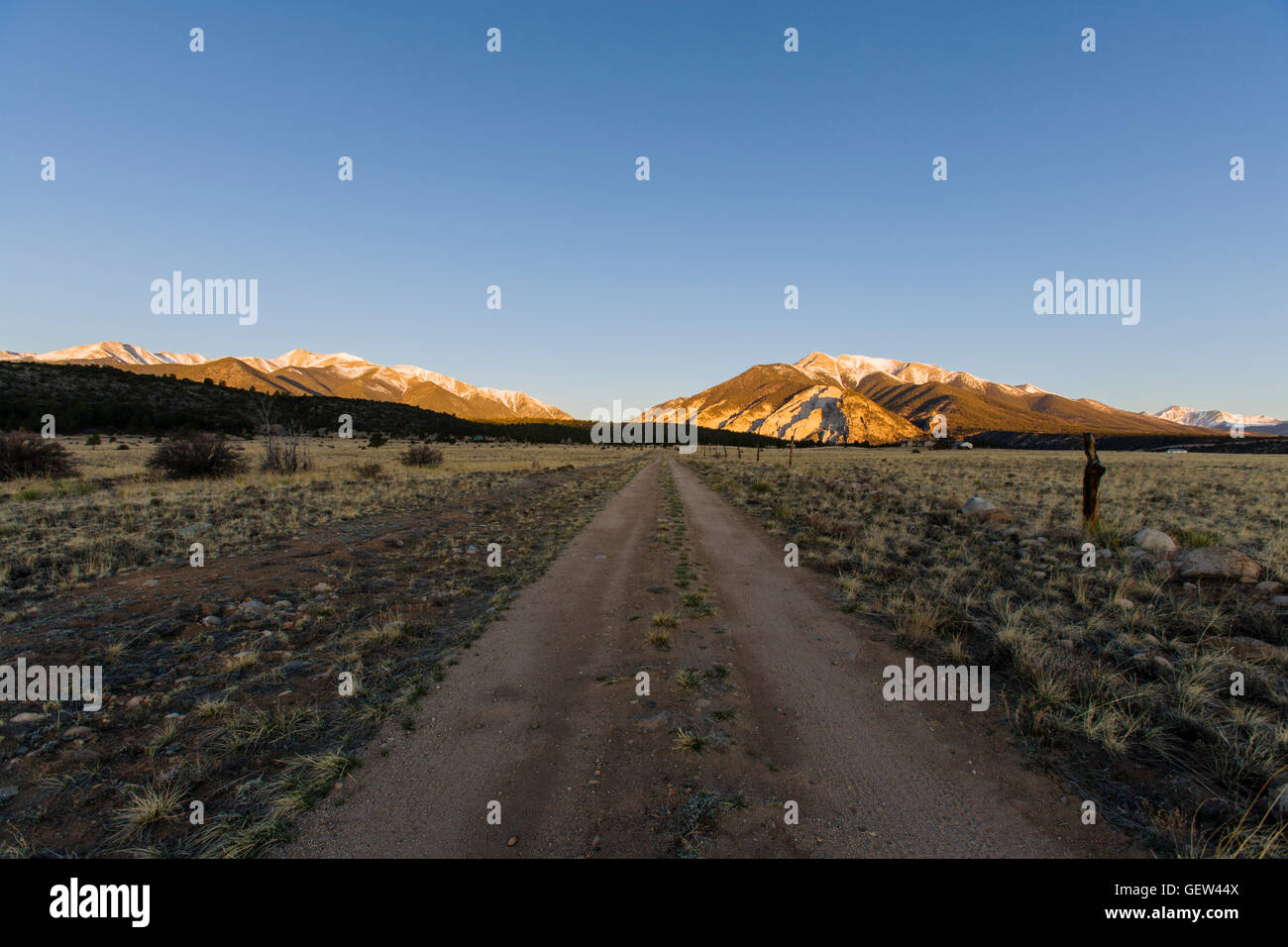 Dirt road leading out forest hi-res stock photography and images - Alamy