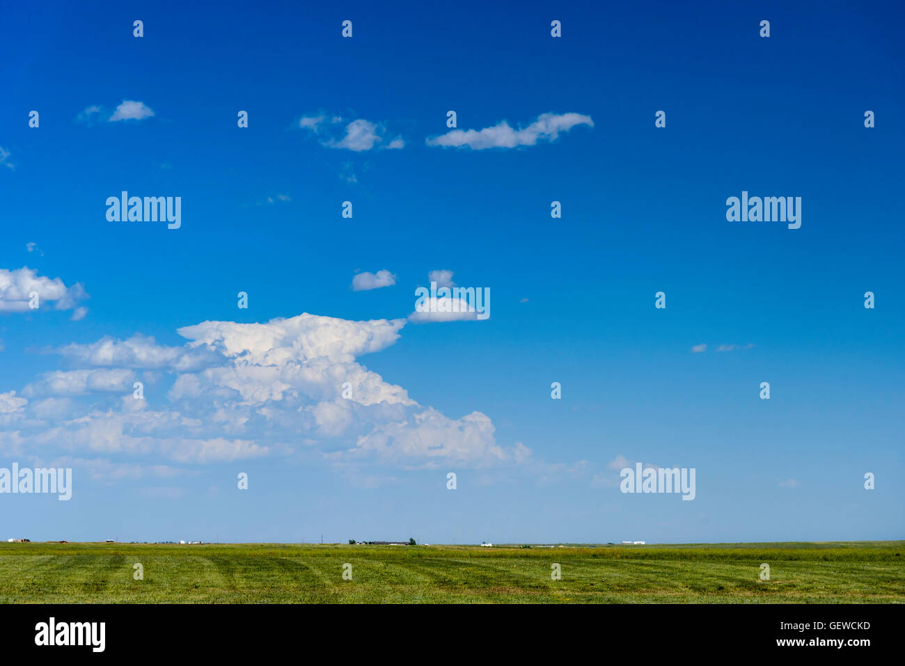 Blue sky green grass hi-res stock photography and images - Alamy