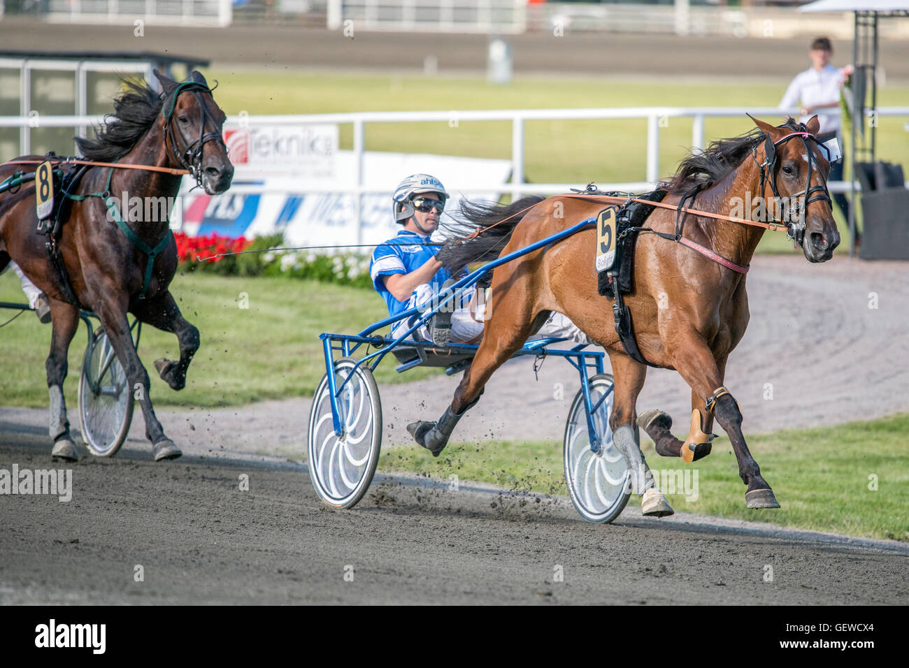 Successful swedish harness racing driver erik adielsson hi-res stock ...