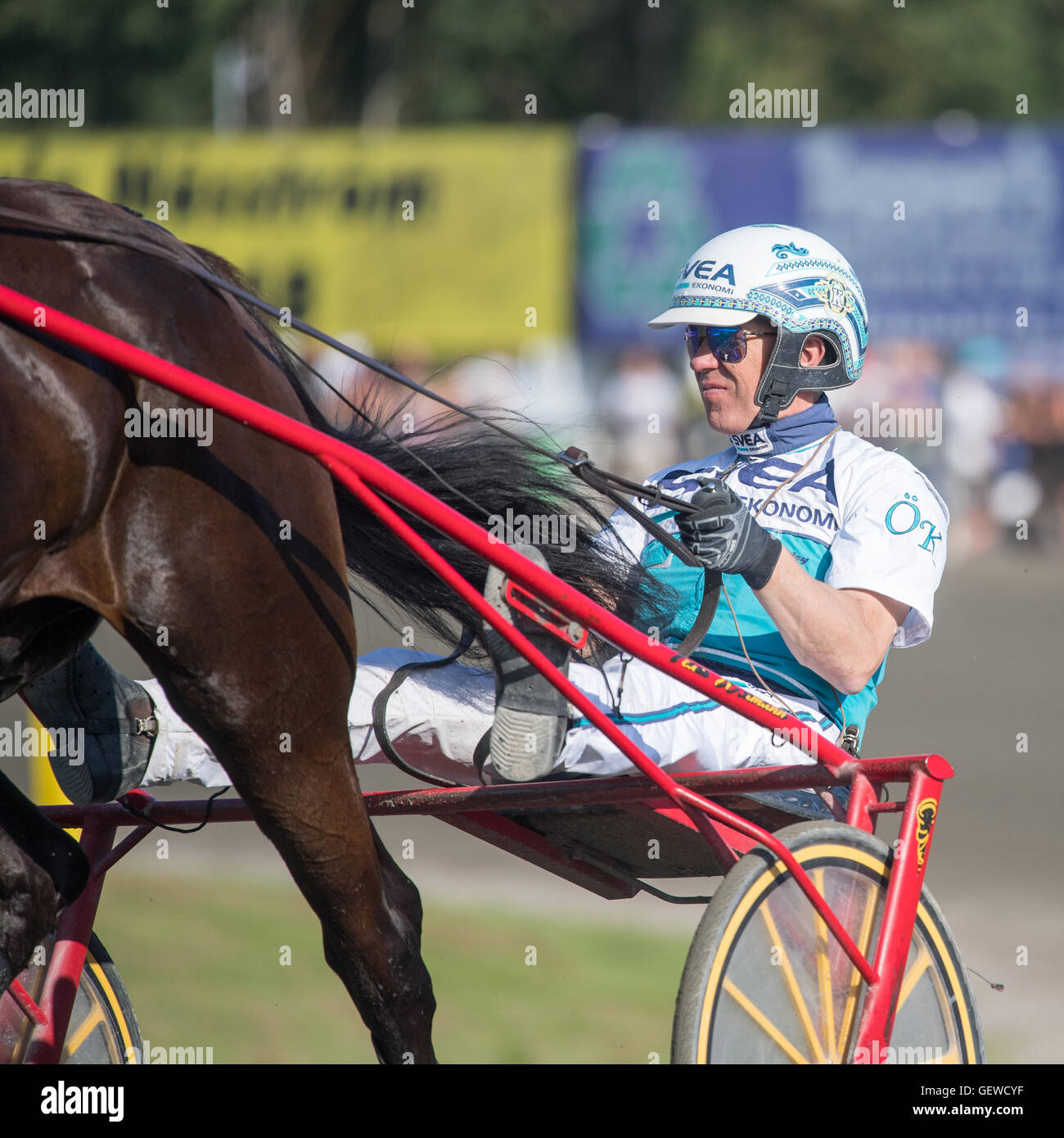 Swedish harness racing driver orjan kihlstrom hi-res stock photography ...