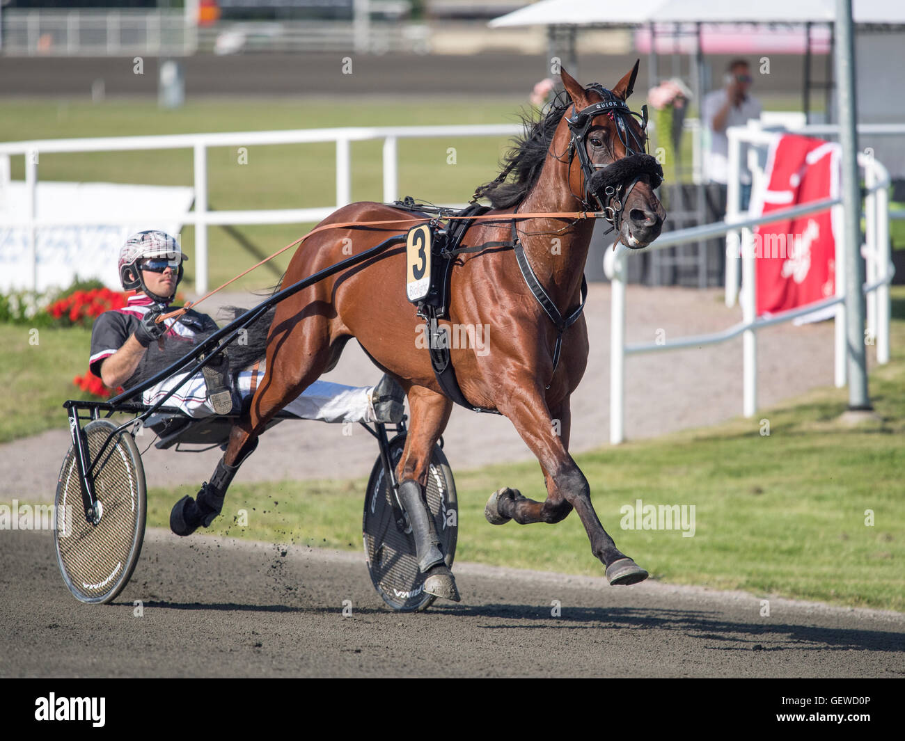 Successful swedish harness racing driver adrian kolgjini hi-res stock ...