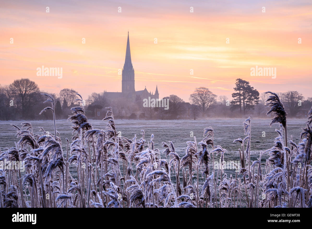 Salisbury Cathedral viewed from across the Harnham Water Meadows at ...