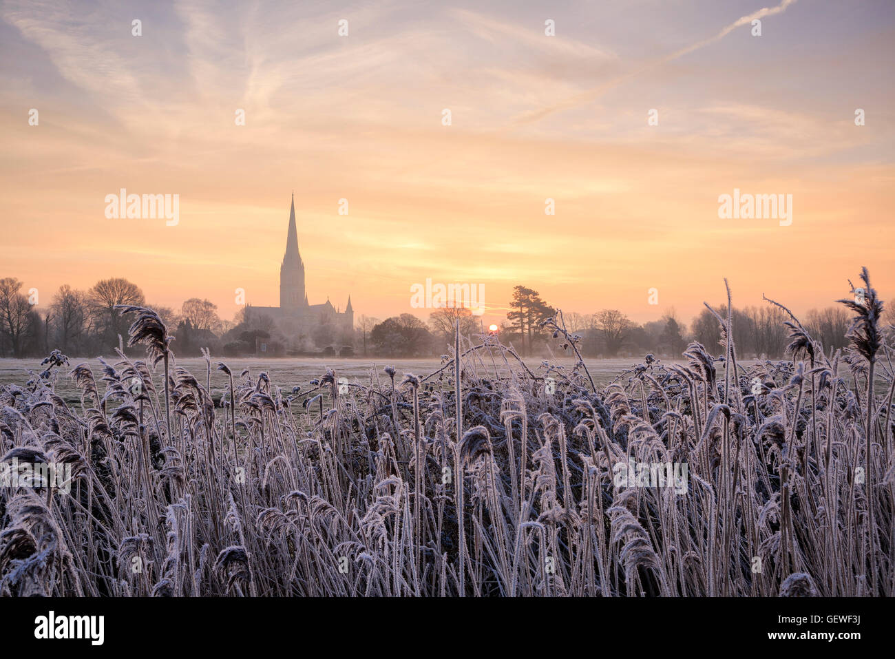 Salisbury Cathedral viewed from across the Harnham Water Meadows at ...
