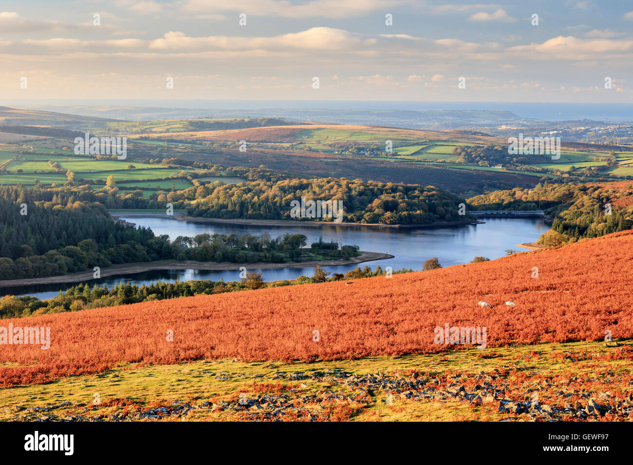 The burrator reservoir in dartmoor hi-res stock photography and images ...