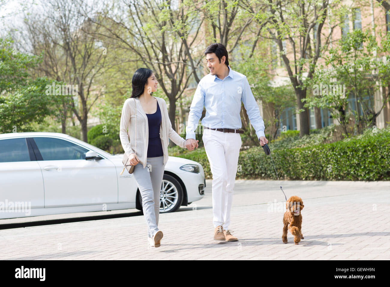 Two people walking talking dog city hi-res stock photography and images ...