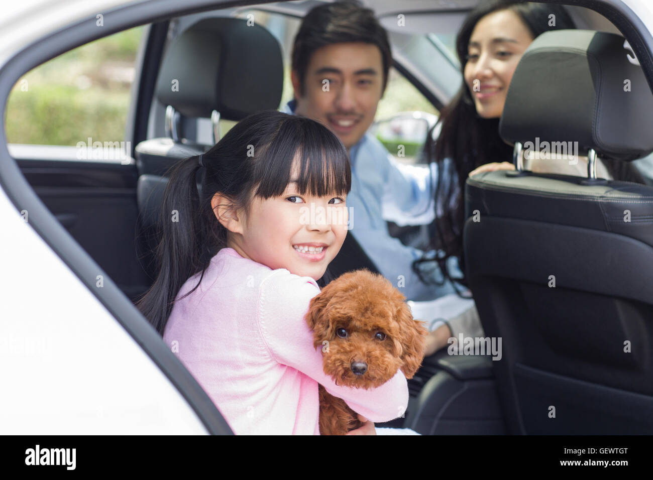 Happy young Chinese family with their pet dog sitting in car Stock ...