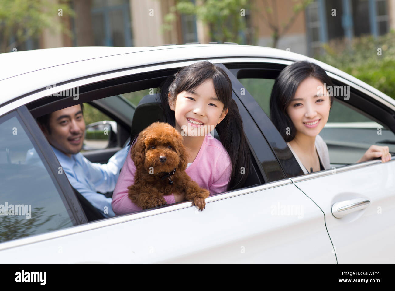 Happy young Chinese family with their pet dog sitting in car Stock ...