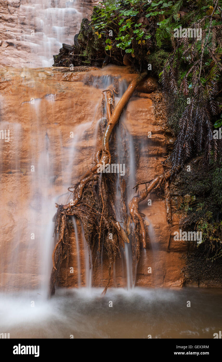 Detail of a waterfall in Big Basin Redwoods State Park, California ...