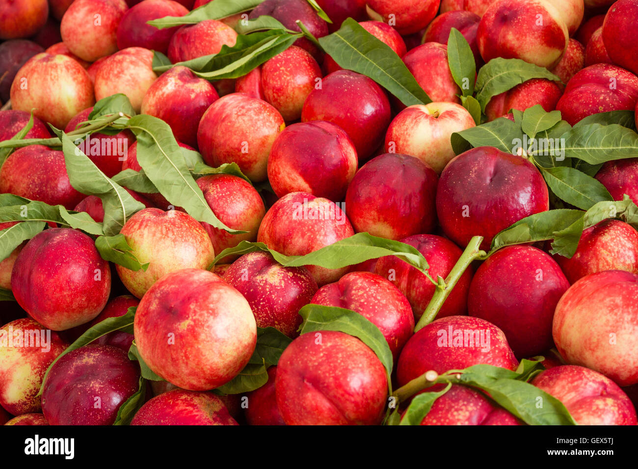 many nectarines in fruit market stall Stock Photo - Alamy