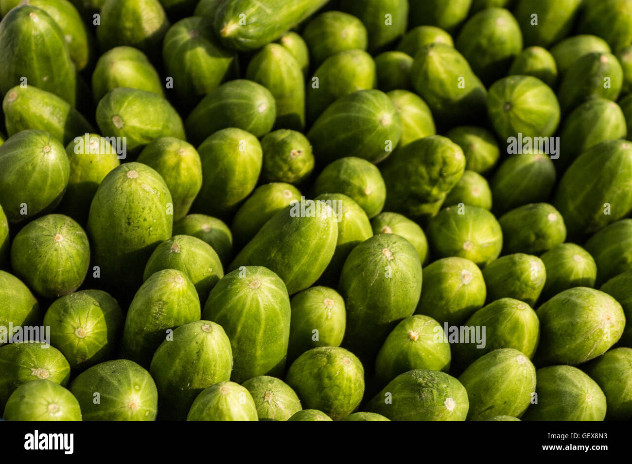pile of cucumbers - cucumber / vegetable background Stock Photo - Alamy