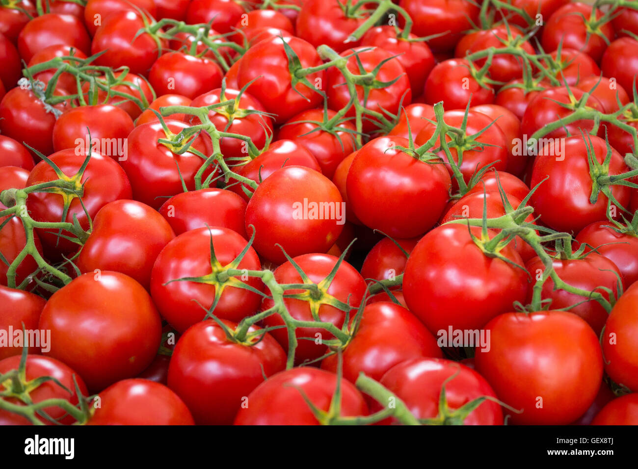 tomato background - raw tomatoes closeup Stock Photo - Alamy