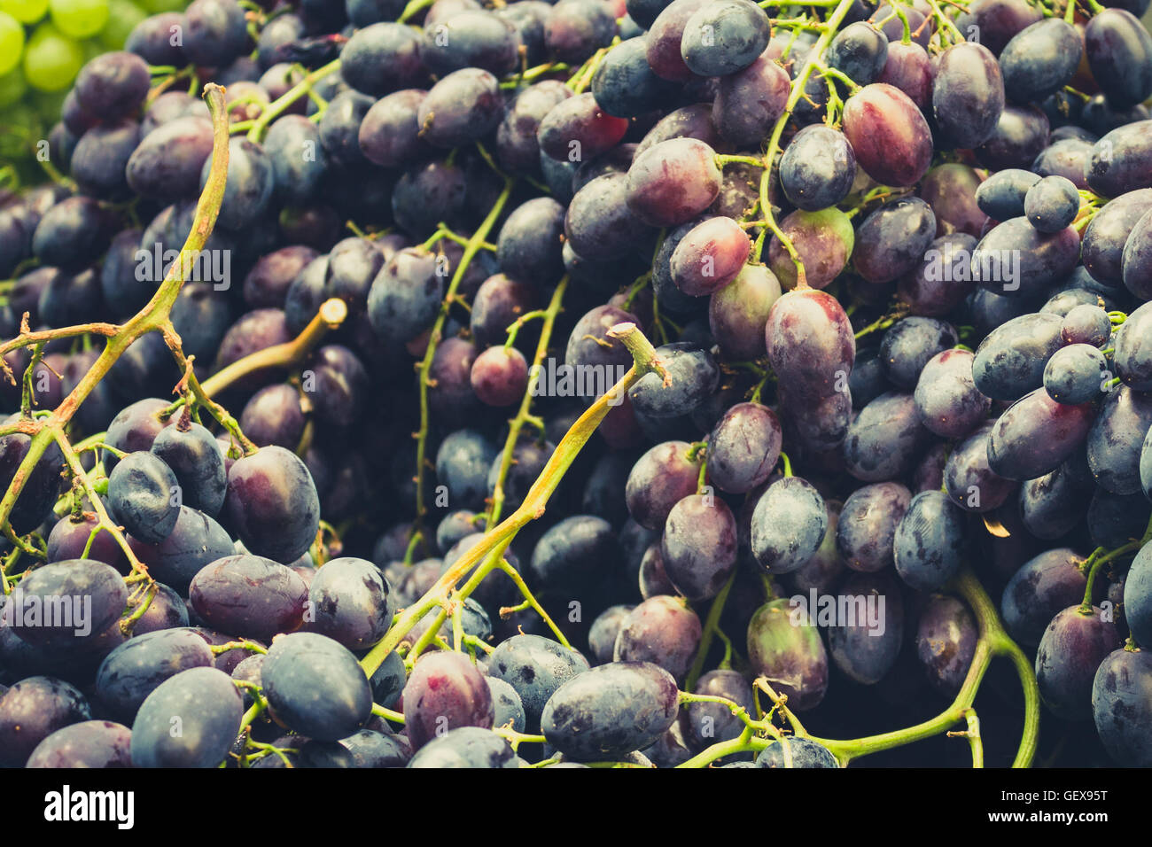 pile of dark grapes - cluster of red grapes Stock Photo - Alamy