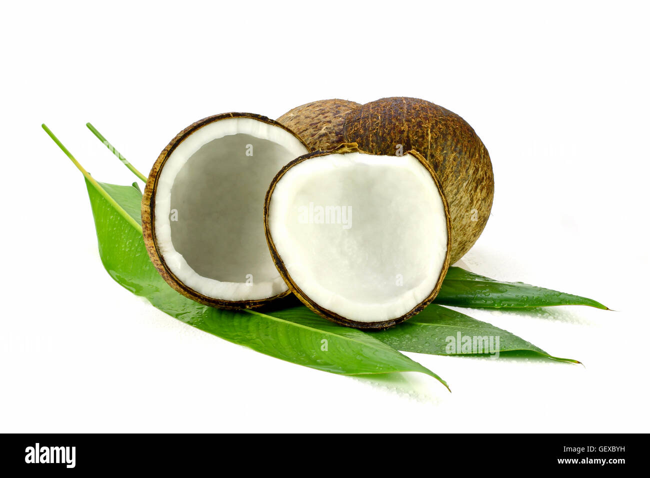 Coconut (Cocos nucifera). Cut coconut shell with fresh organic coconut ...
