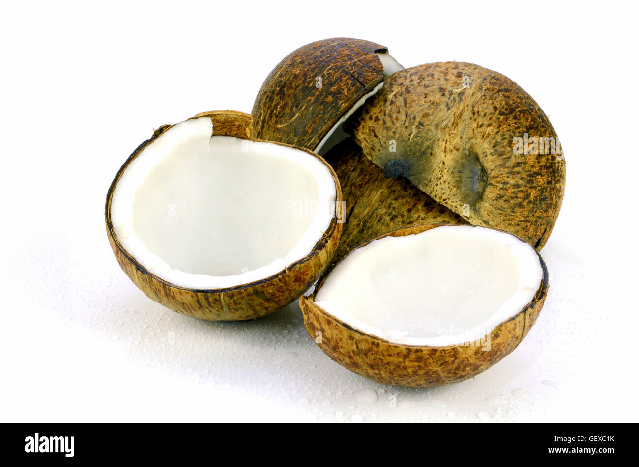 Coconut (Cocos nucifera). Cut coconut shell with fresh organic coconut ...