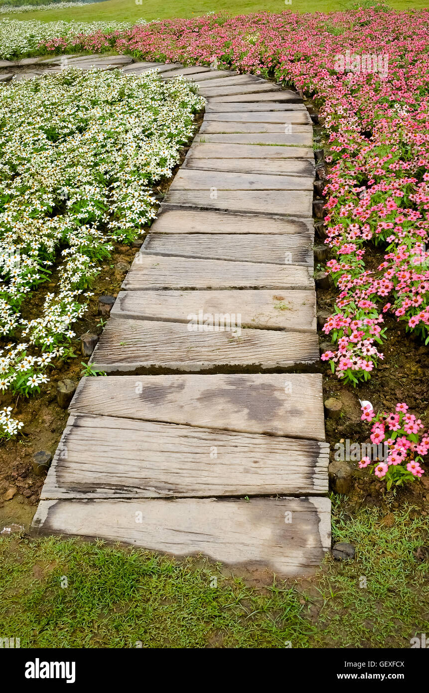 beautiful flower and walkway background at garden Stock Photo - Alamy
