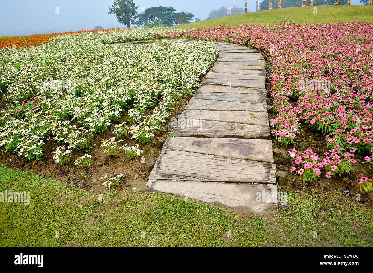 beautiful flower and walkway background at garden Stock Photo - Alamy