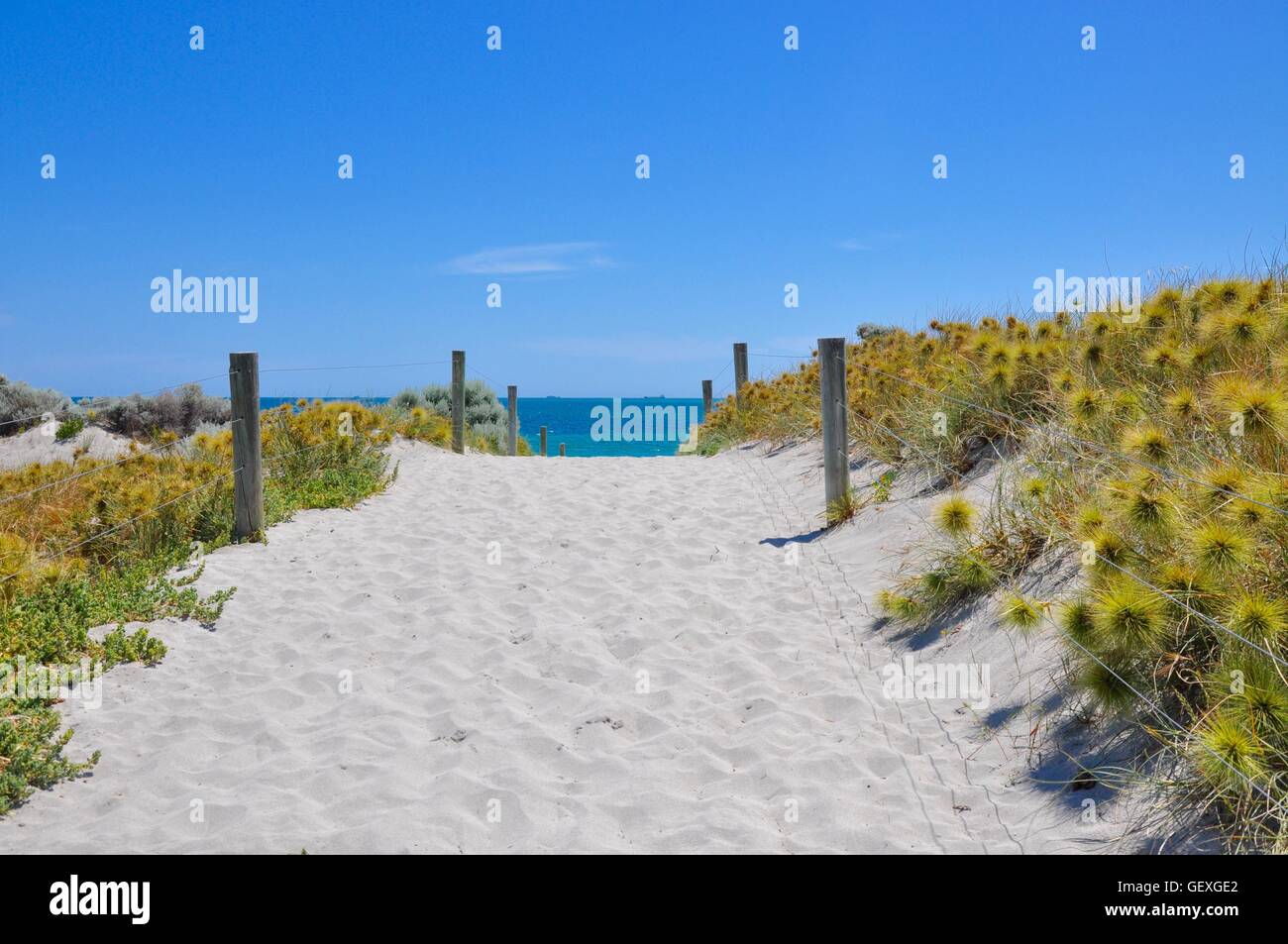 Sandy path through the wild spinifex and sea spurge beach weeds with ...