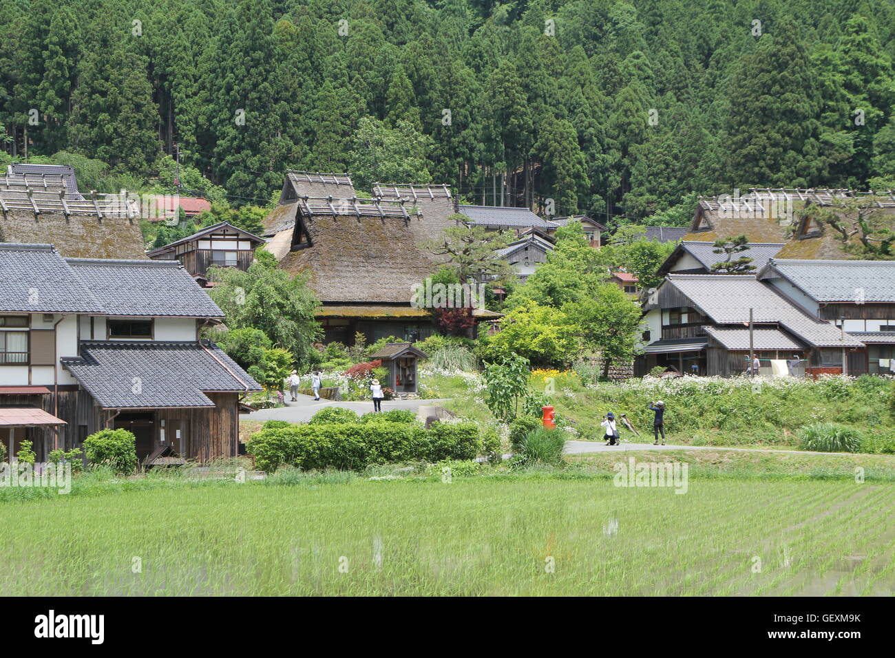 Japanese traditional thatched roofed farmhouses Stock Photo - Alamy