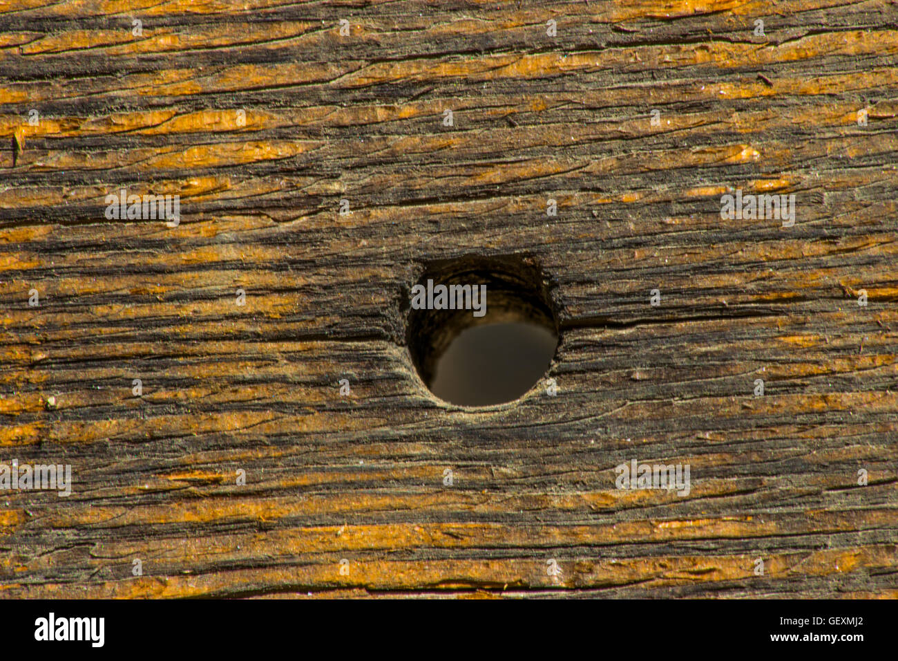 Hole in wood Stock Photo - Alamy