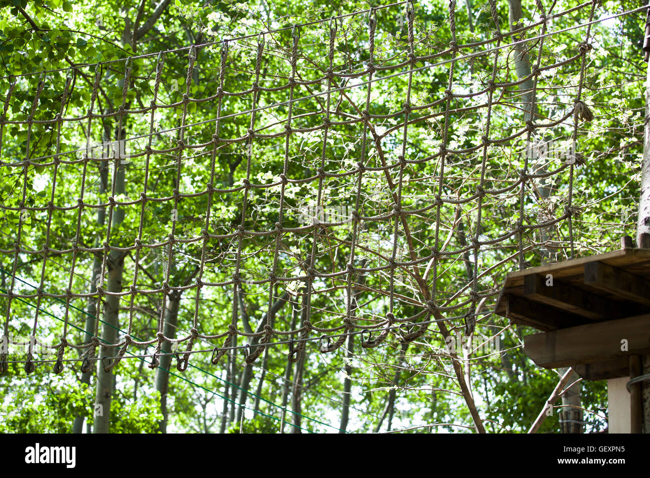 Tree top course hi-res stock photography and images - Alamy