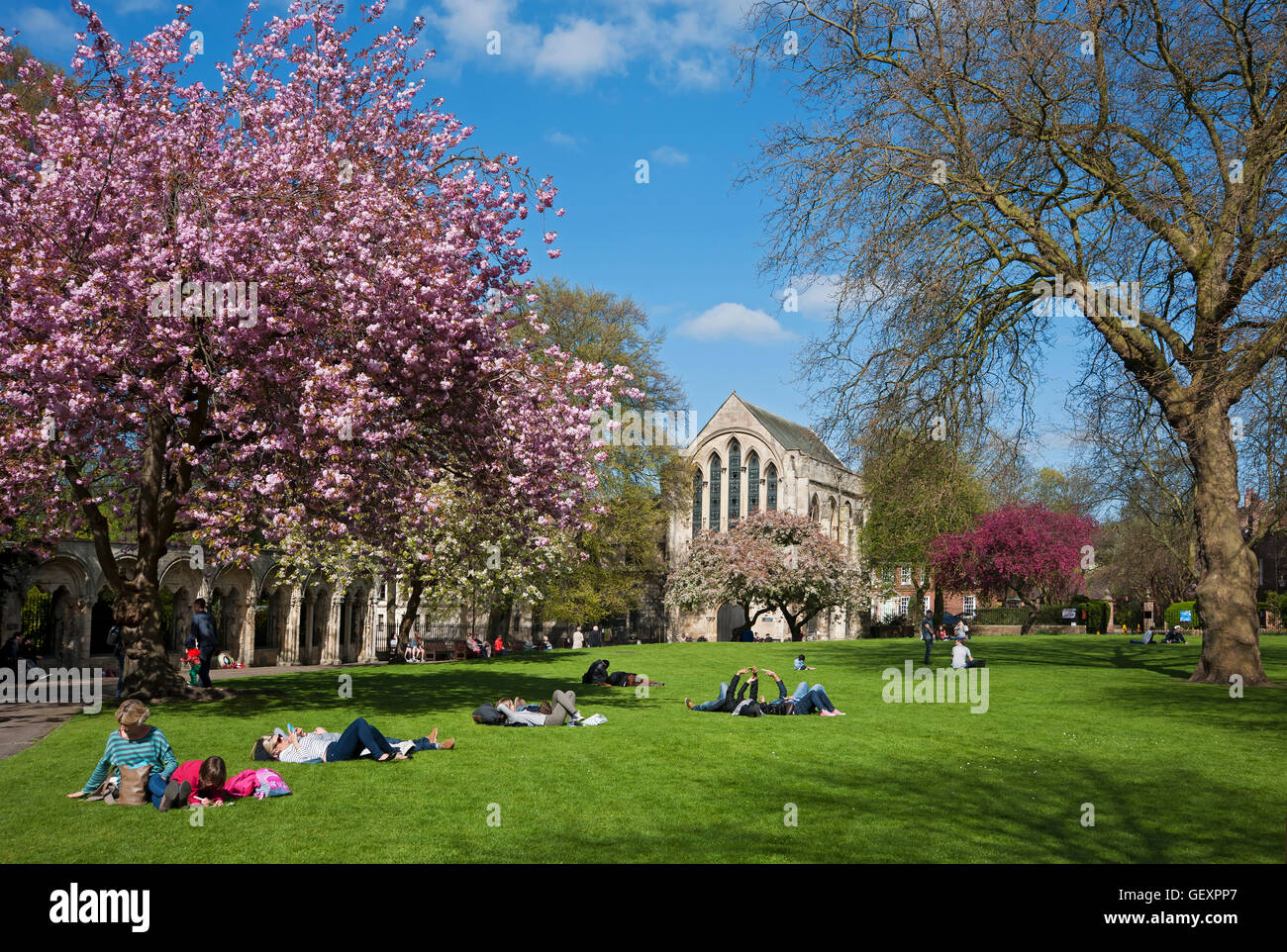 Minster Library in spring at Dean's Park Stock Photo - Alamy