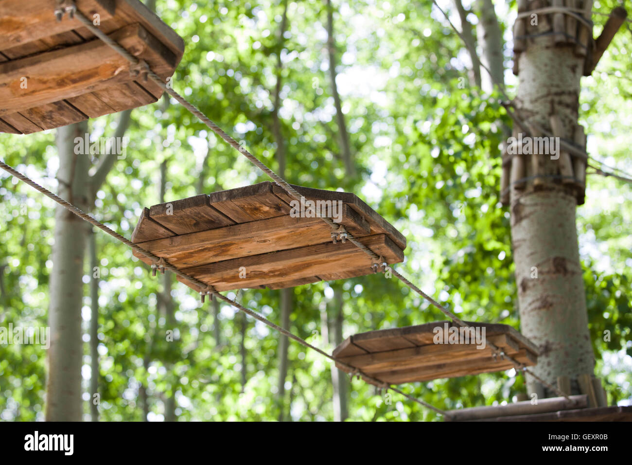 Tree top adventure park Stock Photo - Alamy
