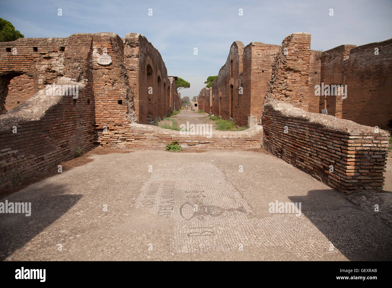 Mosaic at Insula del Soffitto Dipinto in the ancient roman port town ...
