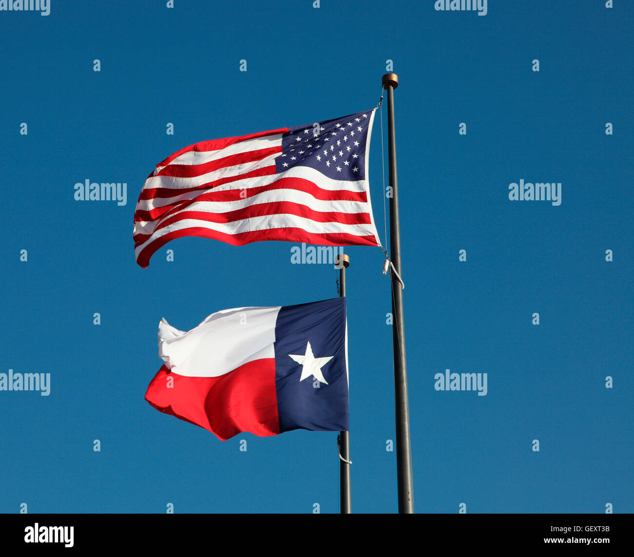 The United State Of Texas Flag