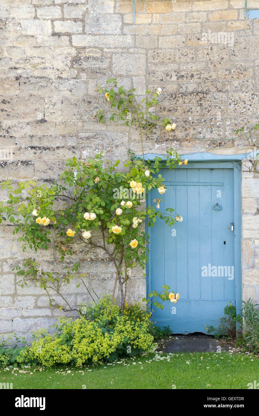 Yellow Roses by a grey wooden stone cottage door. Windrush, Cotswolds ...