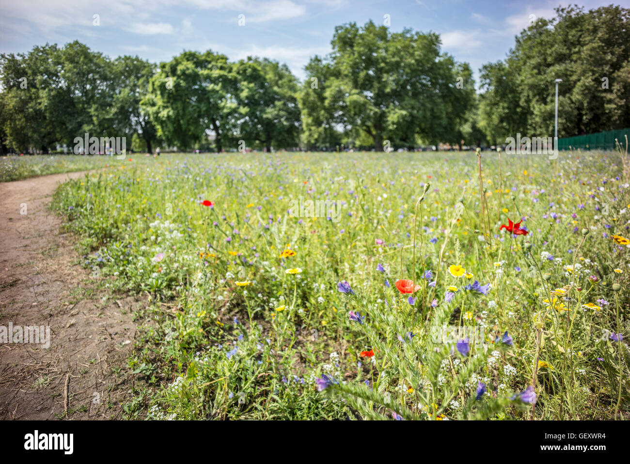 London Fields Park Hackney High Resolution Stock Photography and Images ...
