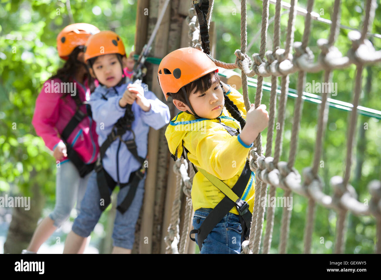 Tree top adventure activity hi-res stock photography and images - Alamy
