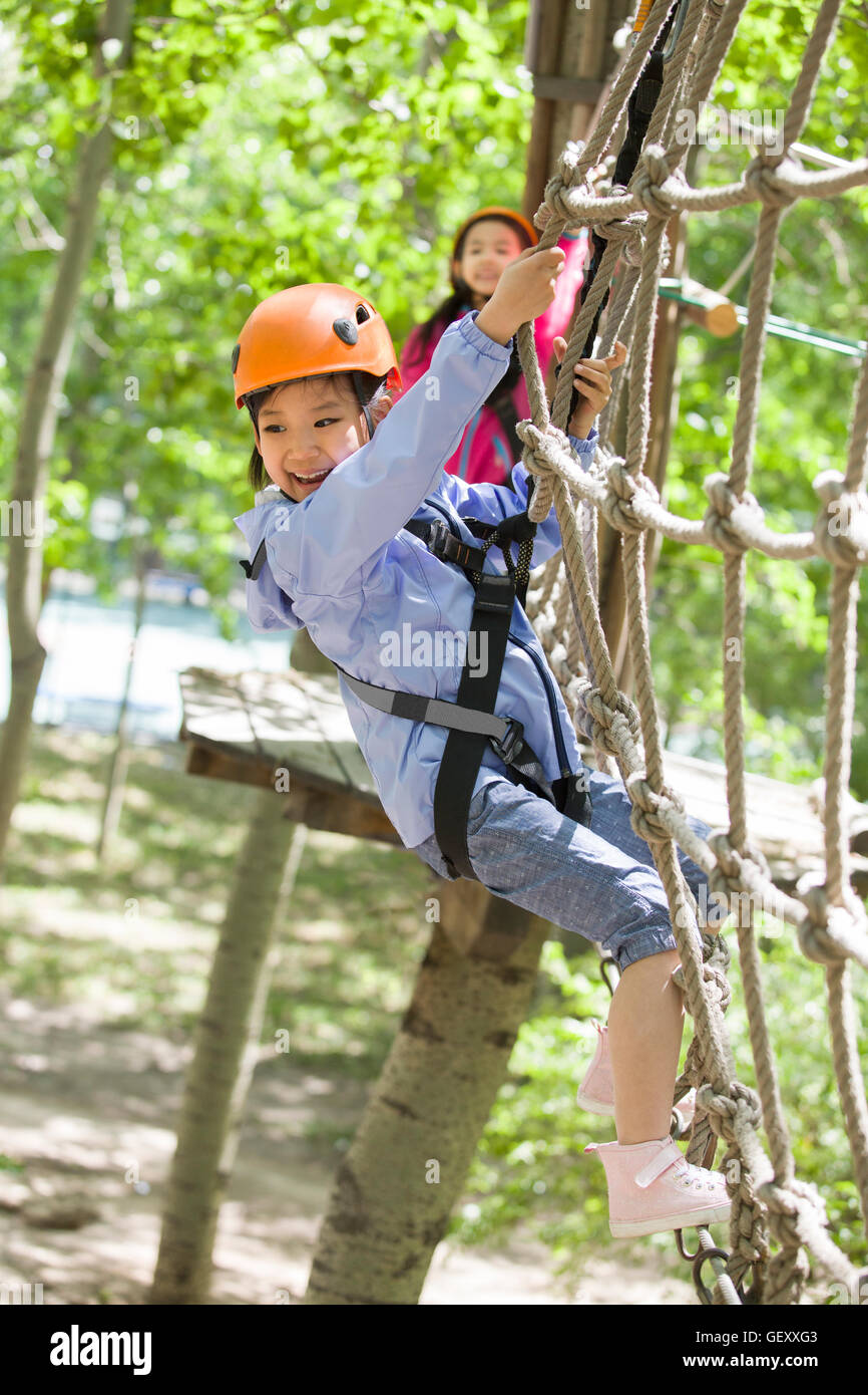 Tree top adventure activity hi-res stock photography and images - Alamy