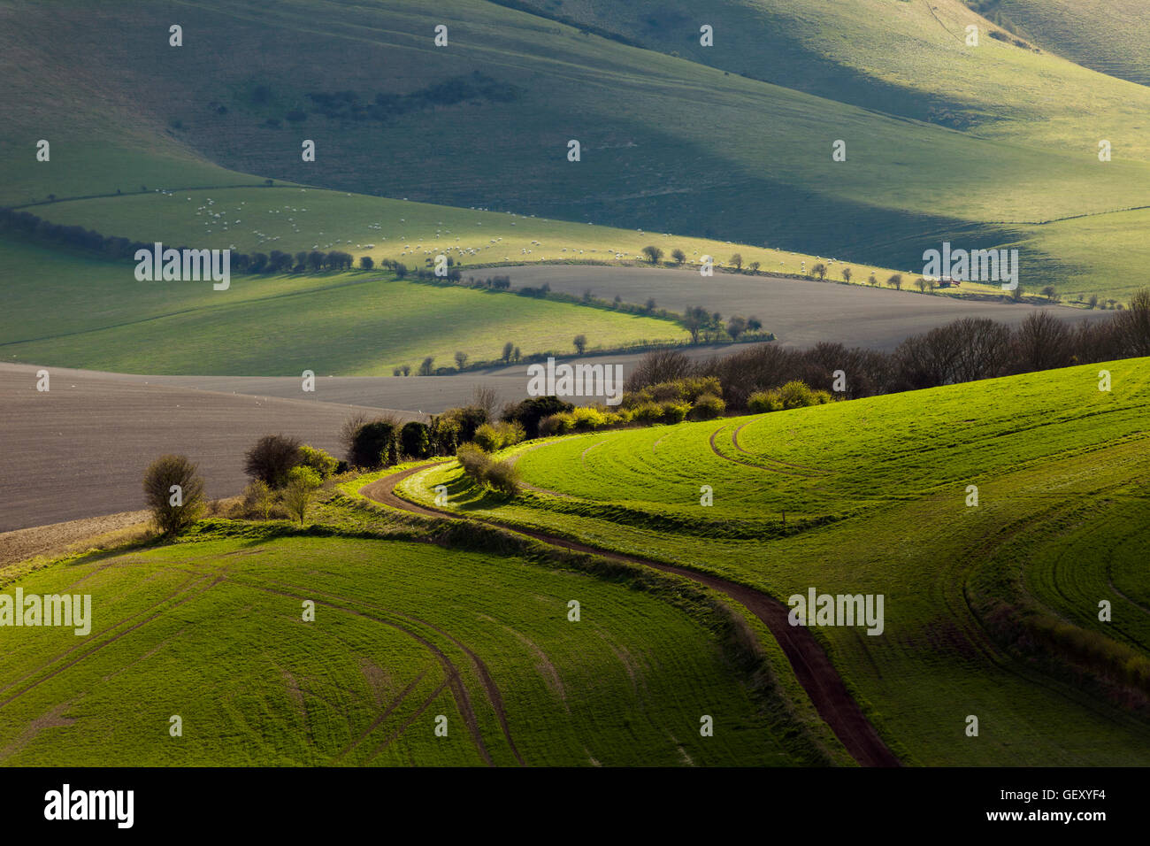 Early spring in South Downs National Park Stock Photo - Alamy