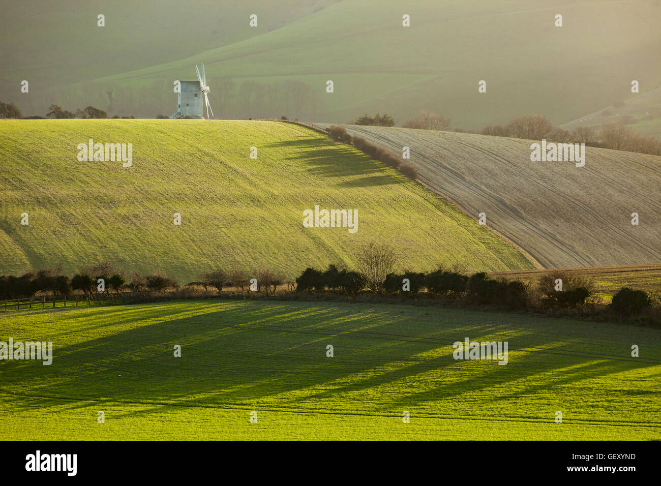 Ashcombe Windmill in South Downs National Park Stock Photo - Alamy