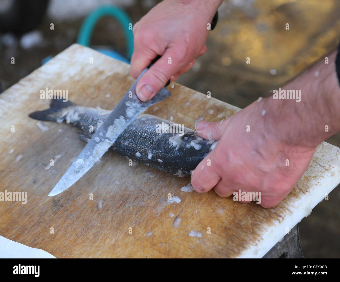 hands the fishmonger at the seafood market during cleaning of freshly ...