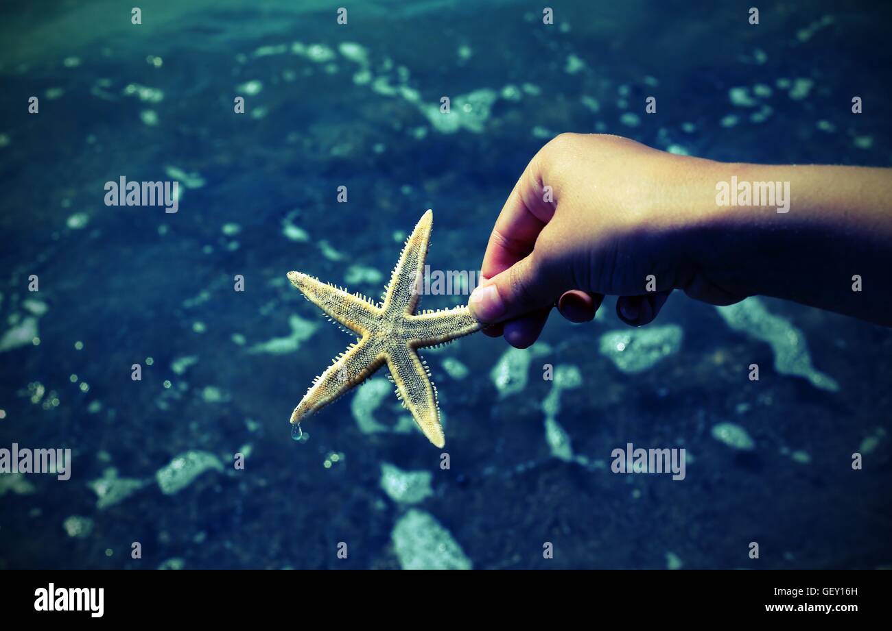 child holds in his hand the starfish on the sea shore Stock Photo - Alamy